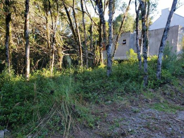 Terreno Bairro Carniel