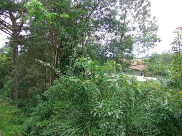 Terreno Bairro Carniel