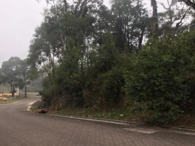 Terreno Bairro Carniel