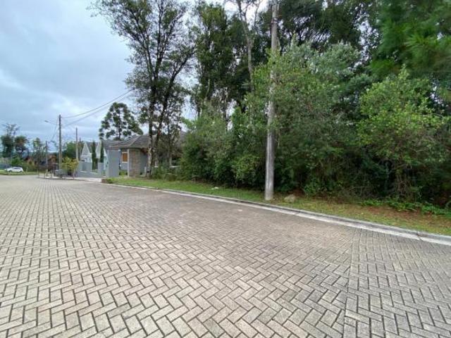 Terreno Bairro Carniel