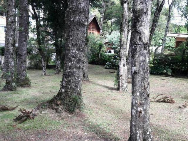 Terreno Bairro Centro