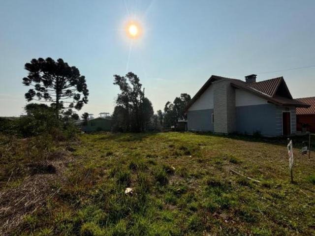 Terreno Bairro Centro