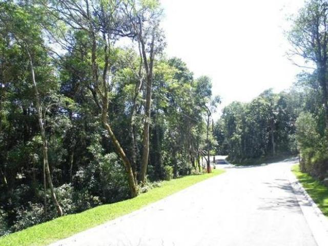 Terreno Bairro Centro