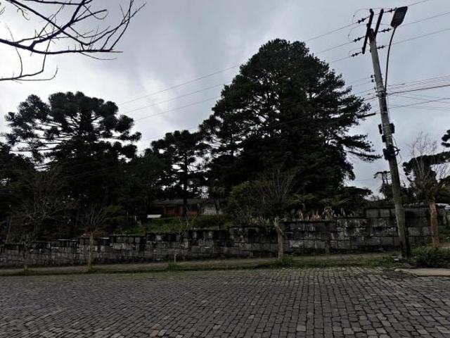 Terreno Bairro Centro