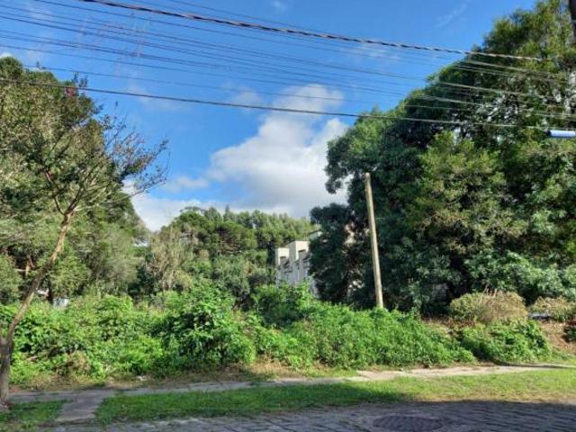 Terreno Bairro Centro