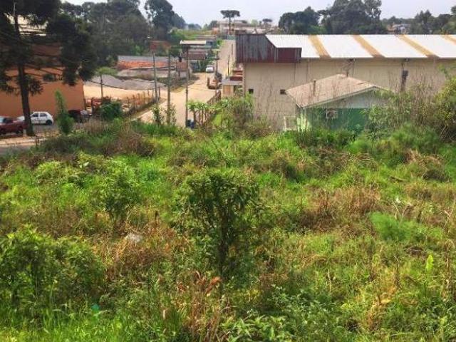 Terreno Bairro Centro