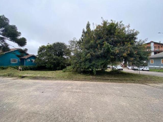 Terreno Bairro Centro
