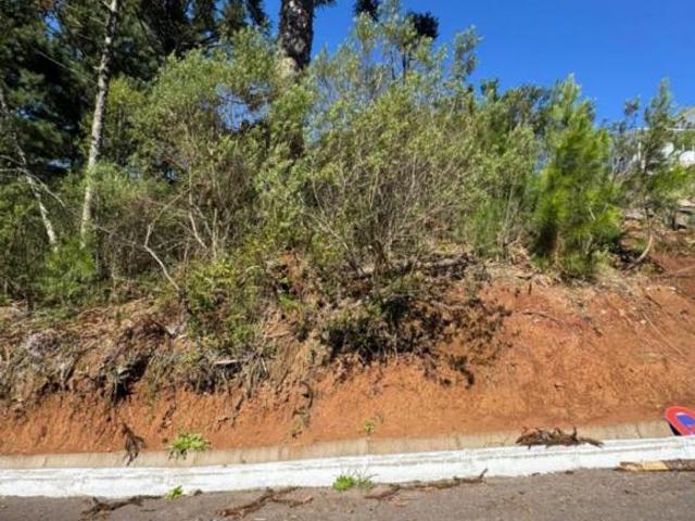 Terreno Bairro Dutra