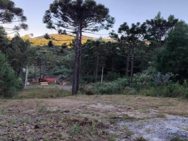 Terreno Bairro Dutra