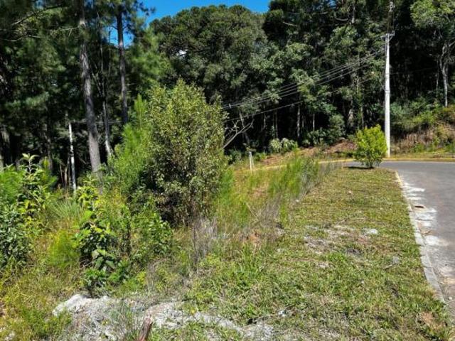 Terreno Bairro Dutra