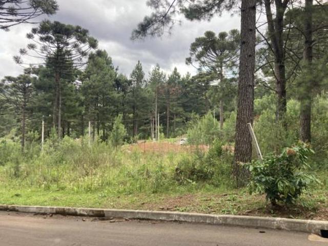 Terreno Bairro Dutra