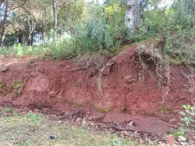 Terreno Bairro Dutra