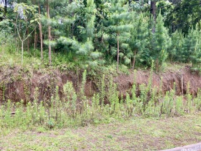 Terreno Bairro Dutra