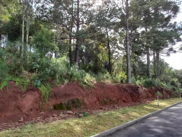 Terreno Bairro Dutra
