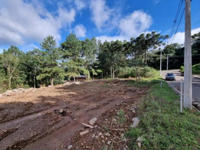 Terreno Bairro Dutra