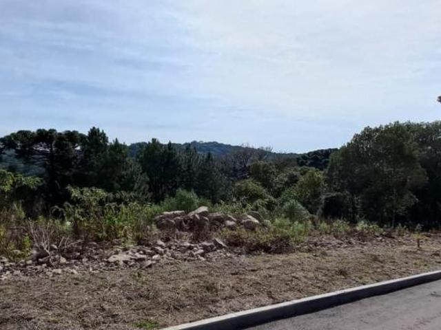 Terreno Bairro Dutra