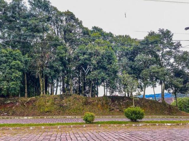 TERRENO BAIRRO FENAVINHO