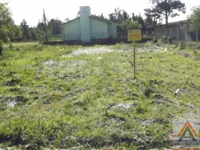 Terreno Bairro FIGUEIRINHA