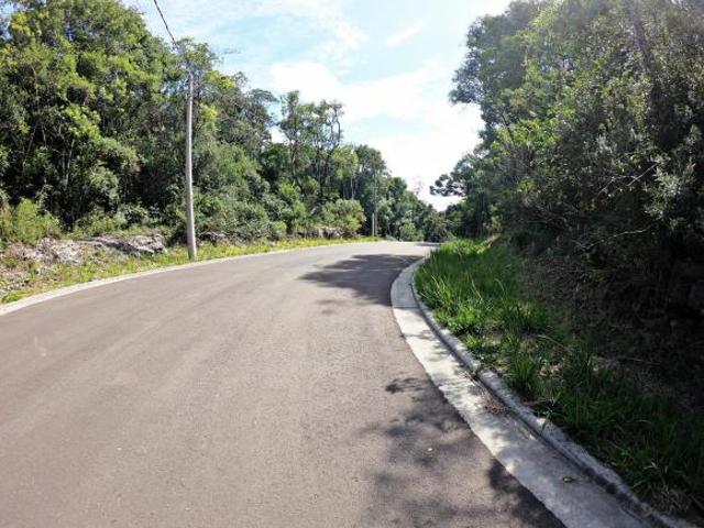 Terreno Bairro Floresta