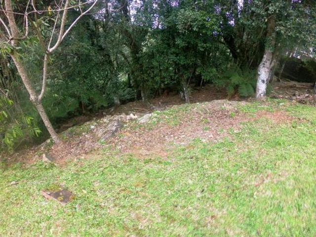Terreno Bairro Floresta