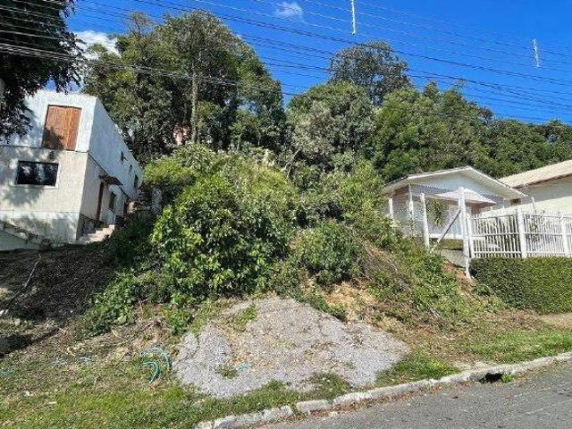 Terreno Bairro Floresta