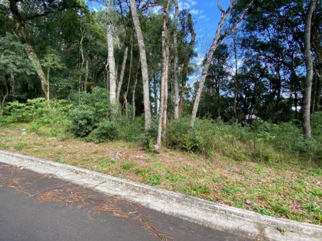 Terreno Bairro Floresta