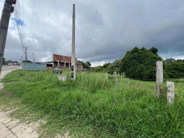 Terreno Bairro Floresta