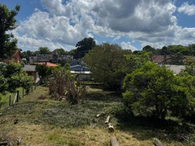 Terreno Bairro Floresta