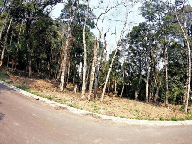 Terreno Bairro Floresta