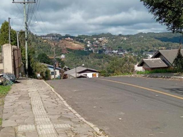 Terreno Bairro Floresta