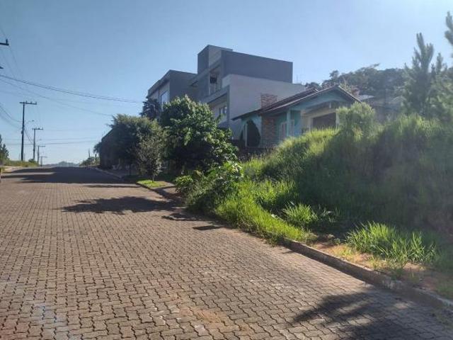 Terreno Bairro Floresta Est. Velha Com Vista