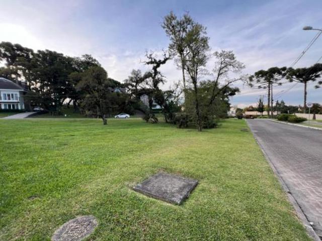 Terreno Bairro Ipe Roxo