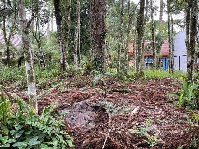 Terreno Bairro Lago Negro