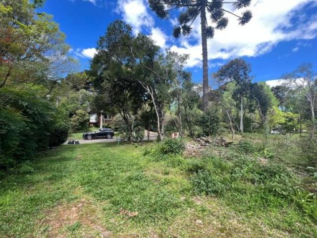 Terreno Bairro Laje de Pedra