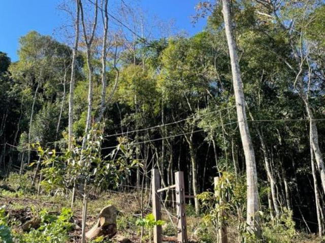Terreno Bairro Linha Ávila