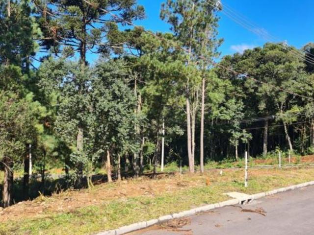 Terreno Bairro Loteamento Marsal