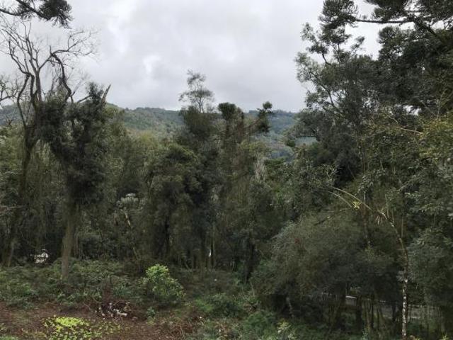Terreno Bairro Loteamento Moraes