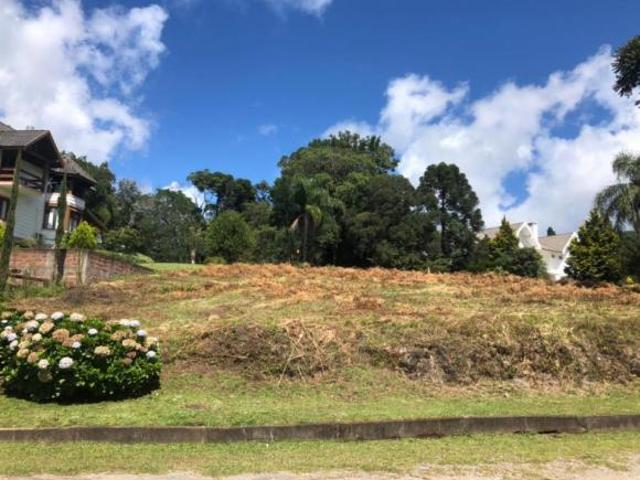Terreno Bairro Mato Queimado