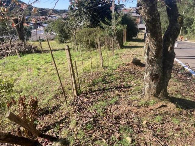 Terreno Bairro Mato Queimado