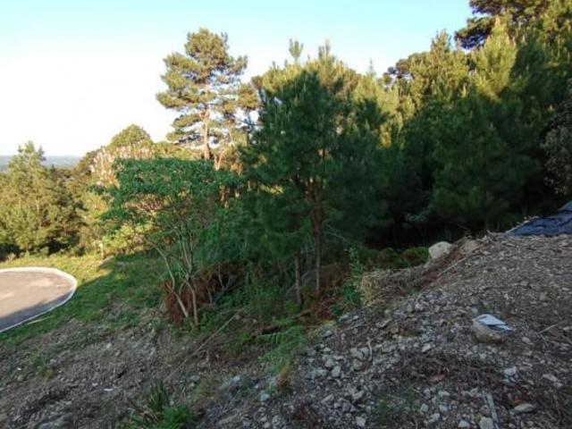 Terreno Bairro Morada Da Serra
