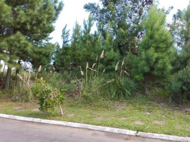 Terreno Bairro Morada da Serra