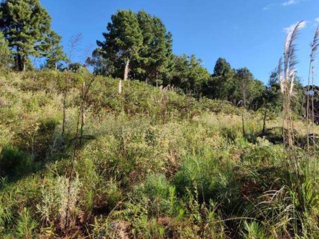 Terreno Bairro Morada da Serra