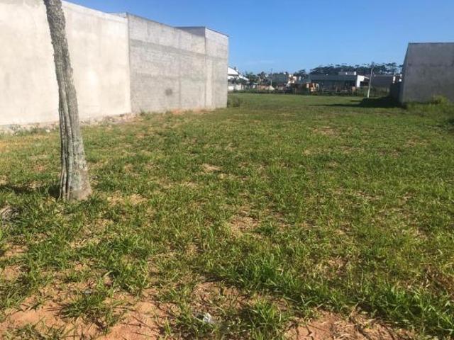 Terreno Bairro Morada das Palmeiras