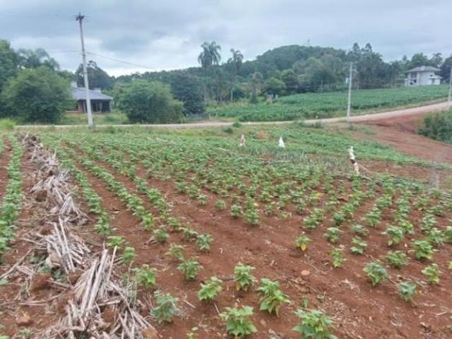 Terreno bairro Morro Bock, Picada Café.RS