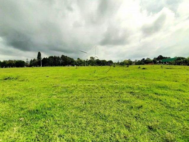 TERRENO, Bairro Morros