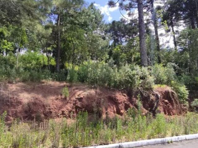 Terreno Bairro Moura