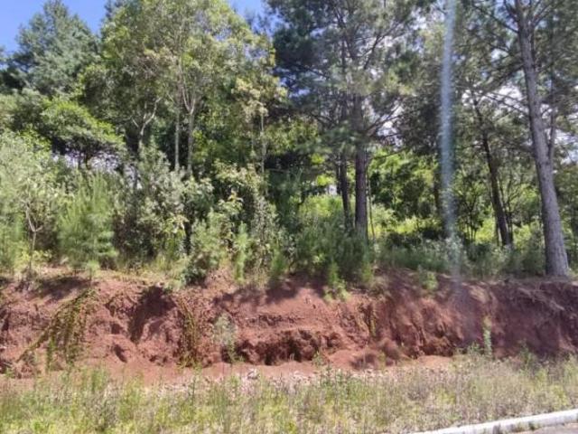 Terreno Bairro Moura