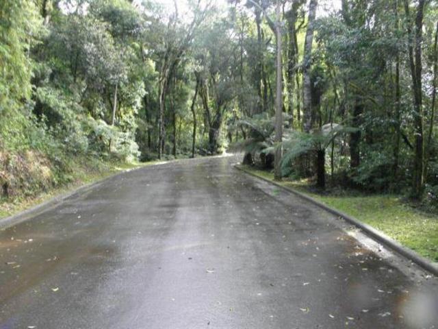 Terreno Bairro O Bosque