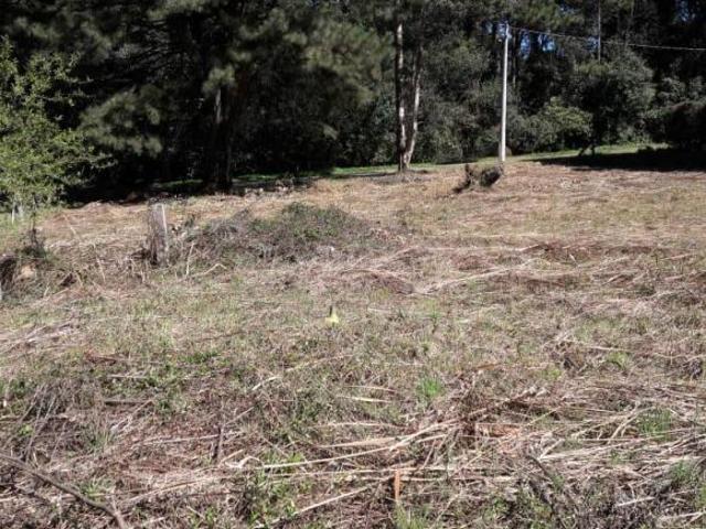 Terreno Bairro Parque das Hortênsias
