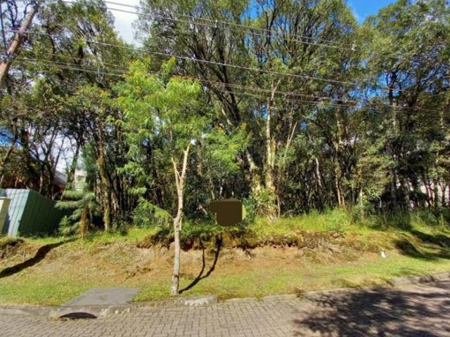 Terreno Bairro Pinheiro Grosso